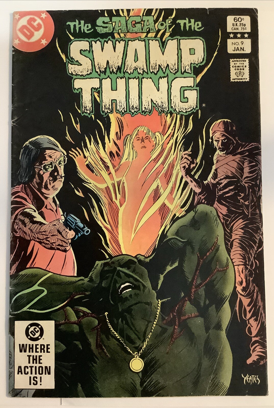 The Saga of the Swamp Thing #9 (1983) — Direct Edition | DC Comics | DM ...